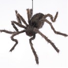 Halloween Spider Legs | Partyshop.co.nz