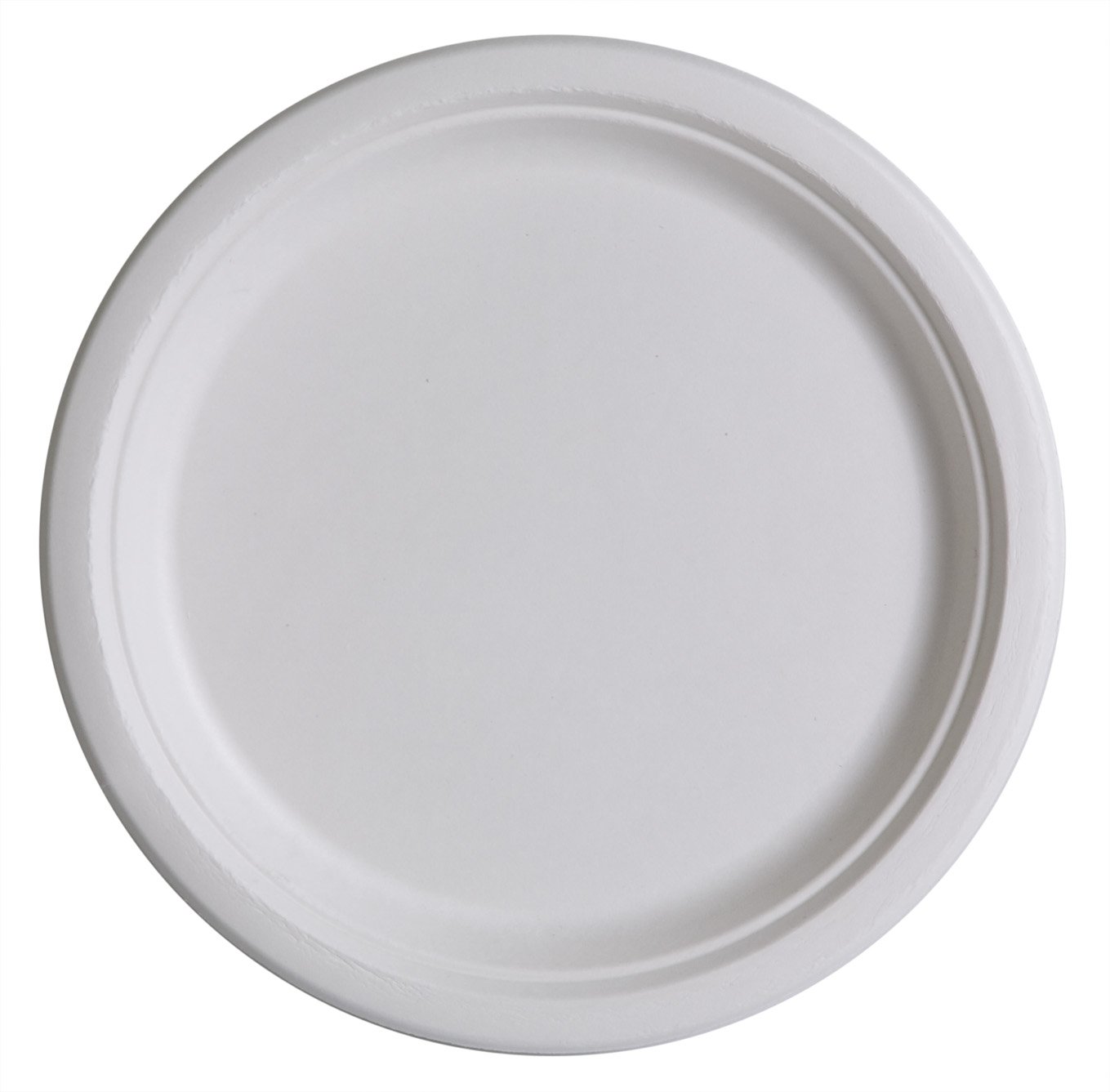 Sugar Cane Plate | Partyshop.co.nz